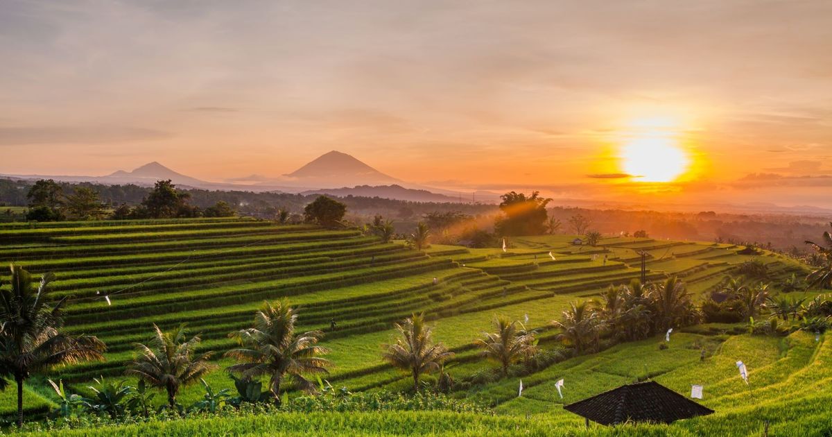 Visitbali - Feel The Joy Of Becoming Pinge Custom Village Residents