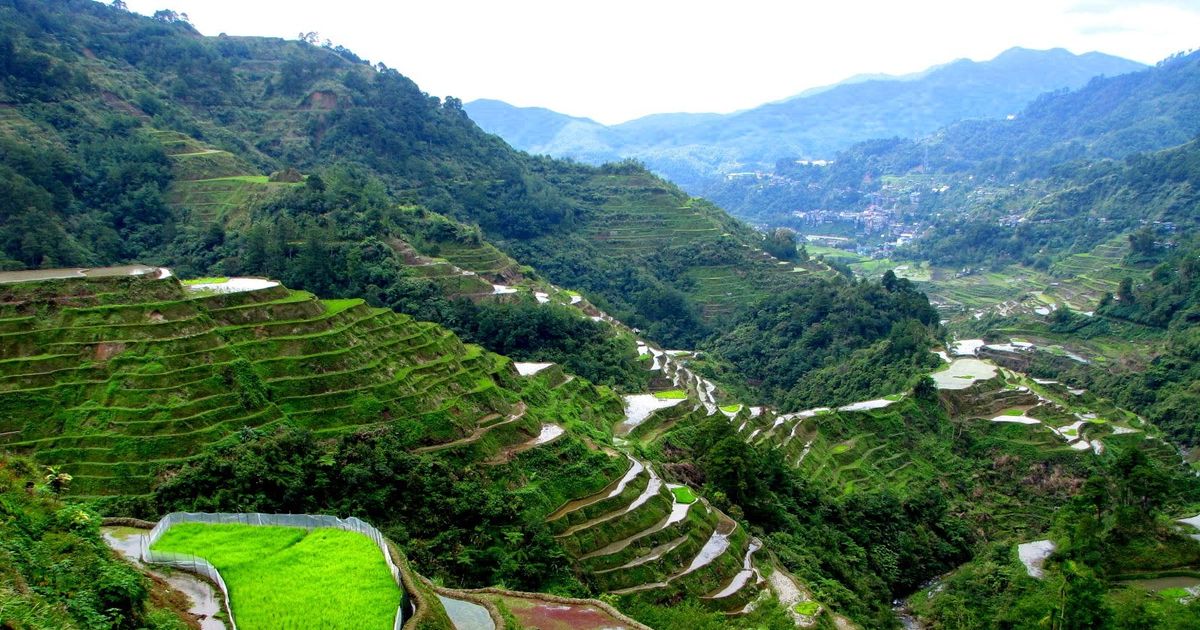 Visitbali - Bukit Jambul, The Amazing Agricultural Landscape At Karangasem