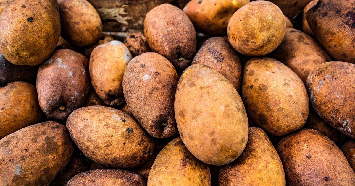 Visitbali - Kemang Fruit, The Wry And Rare Fruit From Bali
